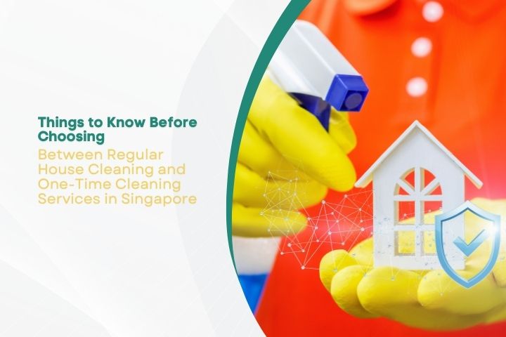 Things to Know Before Choosing Between Regular House Cleaning and One ...